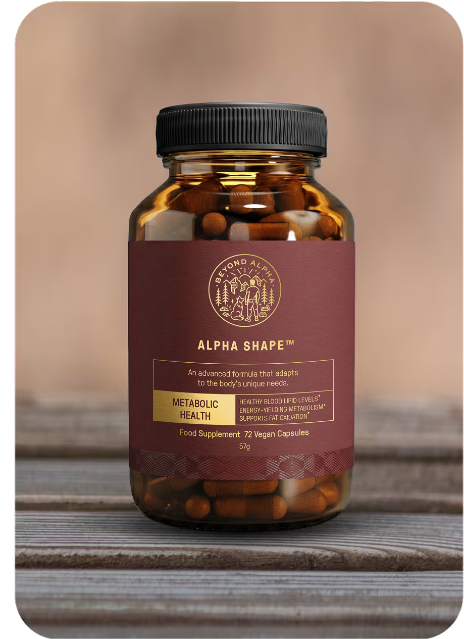 Alpha Shape : Shred – Beyond Alpha